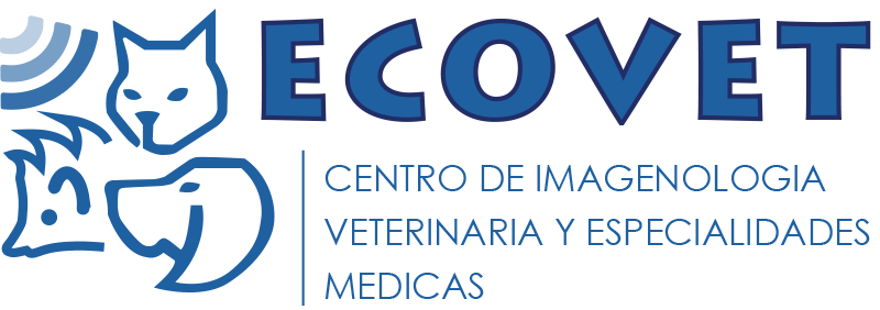 Examenes - ECOVET - Servicio Ecográfico Veterinario